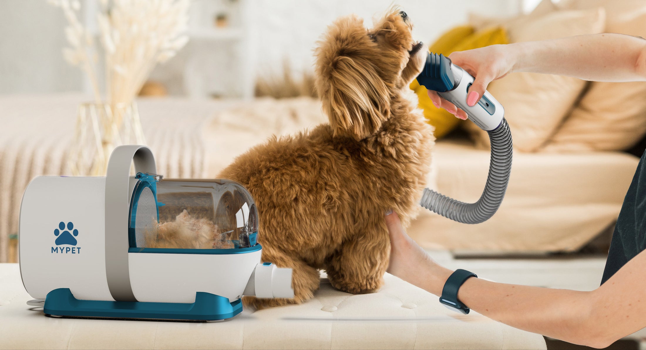 Silverpoint Technologies